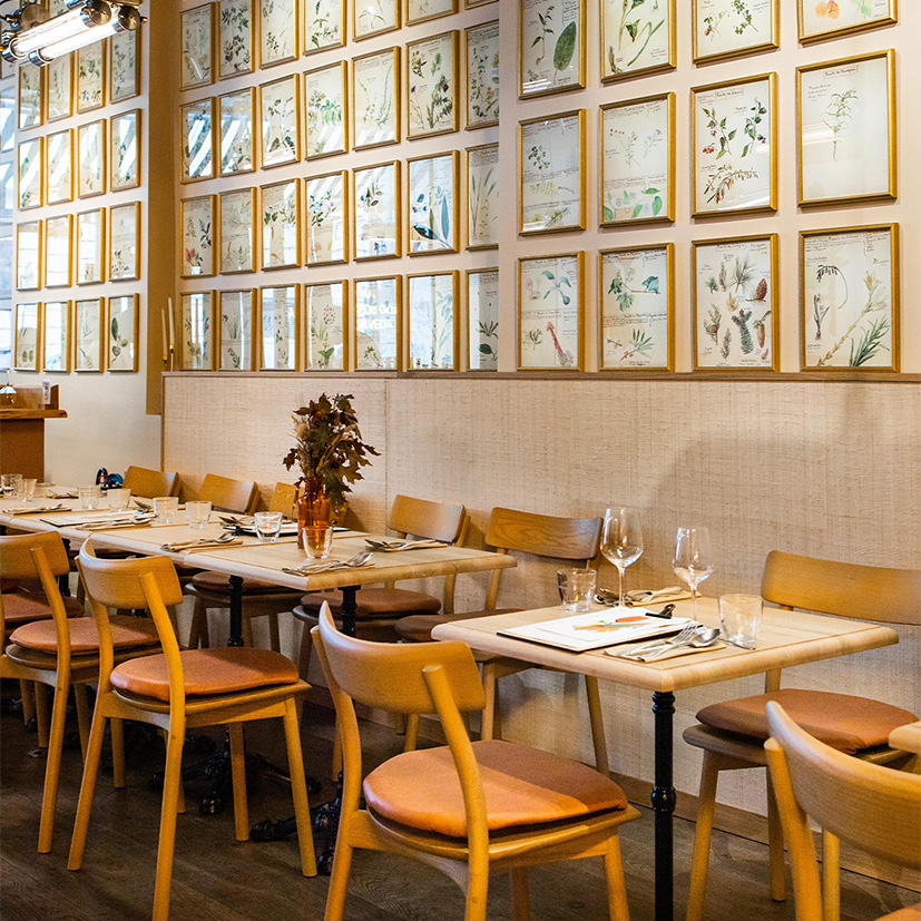 Les restaurants Alain Ducasse à Paris - Restaurant Allard